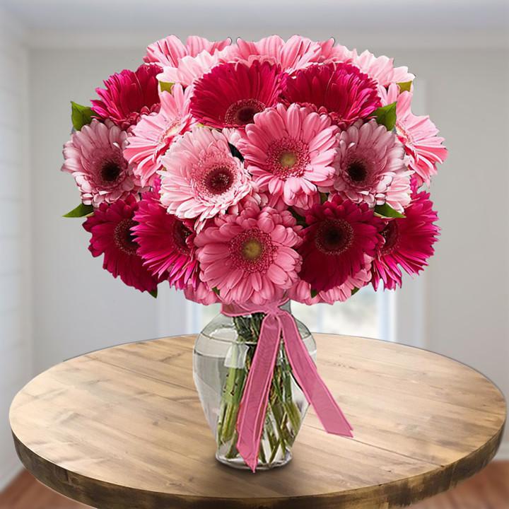 Gerberas Rosadas en Monterrey Nuevo Leon, México | Florerias Monterrey ...